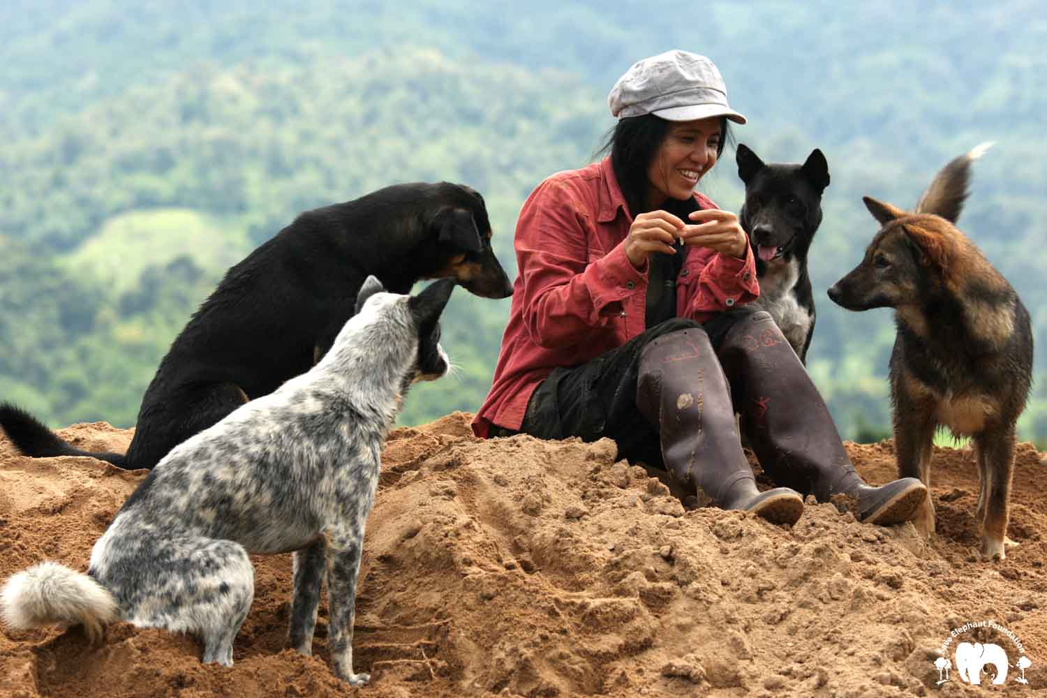Our Founder | Save Elephant Foundation | Saengduean Chailert