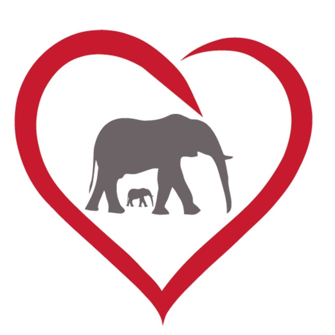 Our Partners | Save Elephant Foundation | NGO's Supporting Us