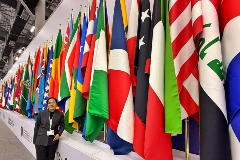 Save Elephant Foundation | Rescuing and Caring for Asian Elephants