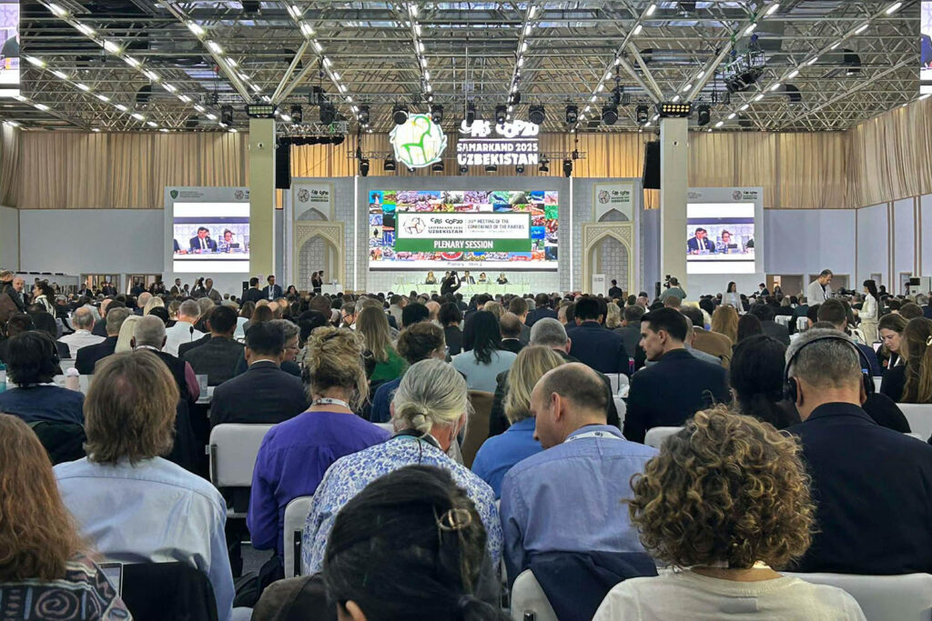 Conference of the Parties to CITES | Save Elephant Foundation